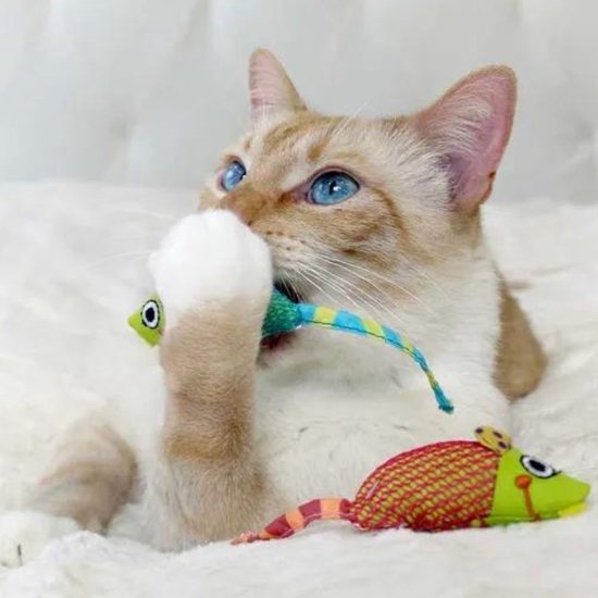 Petstages Speelgoedmuizen met Catnip voor Katten - Reinigt het gebit ...