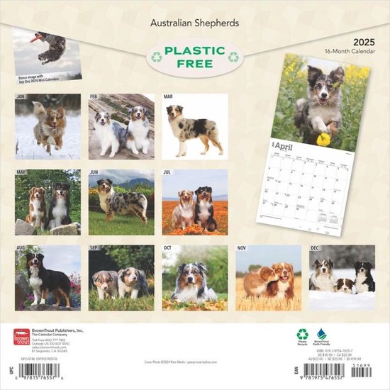 Australian Shepherd Kalender 2025 | bol