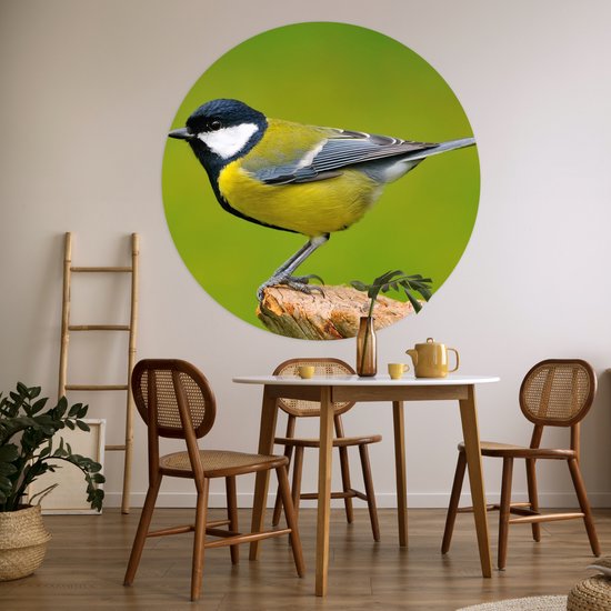 Behangcirkel - Vogel - Koolmees - Groen - Dieren - Zelfklevend behang ...