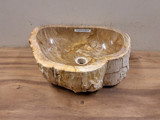 Waskom van versteend hout - 47x35x15cm - FL22774 | bol