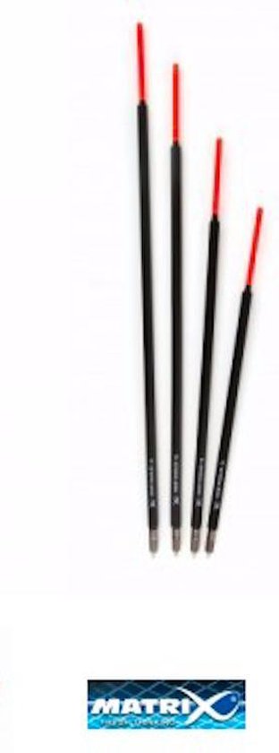 Matrix Insert Waggler 6 gr | bol.com