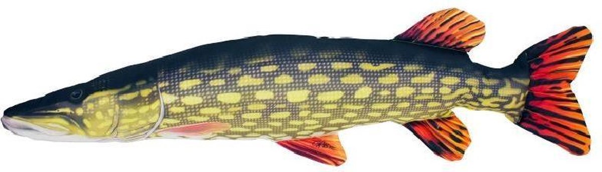 Kussen vis - Snoek - Meerkleurig - Vismodel kussen - Groot formaat ...