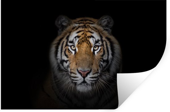 Muurstickers - Sticker Folie - Tijger - Wilde dieren - Portret - Zwart - Dieren -... | bol.com