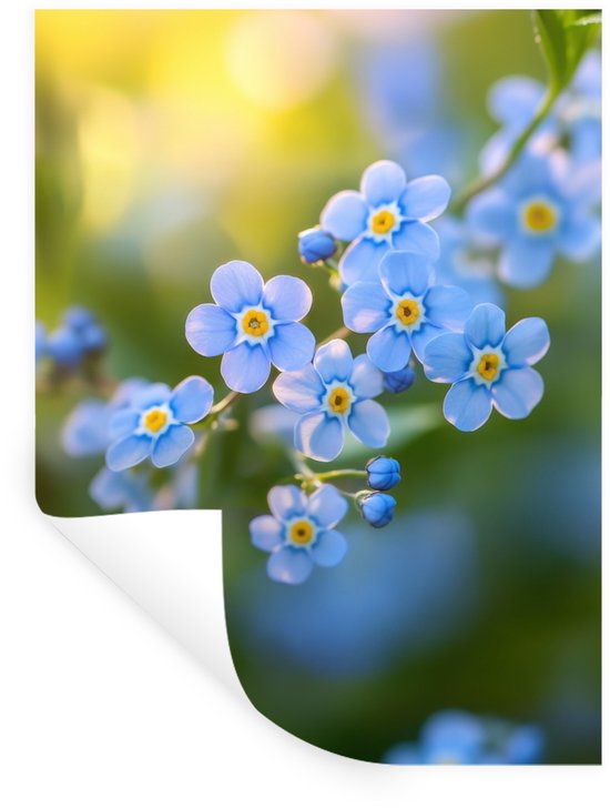 Muurstickers - Sticker Folie - Bloemetjes - Blauw - Vergeet mij nietjes ...