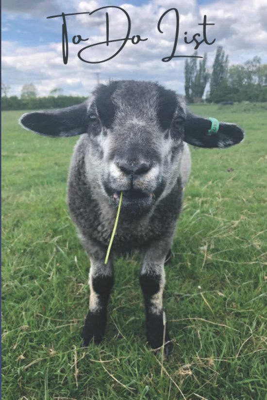 Blue Texel To Do List Notebook. Black Sheep Notebook. Sheep To Do List ...