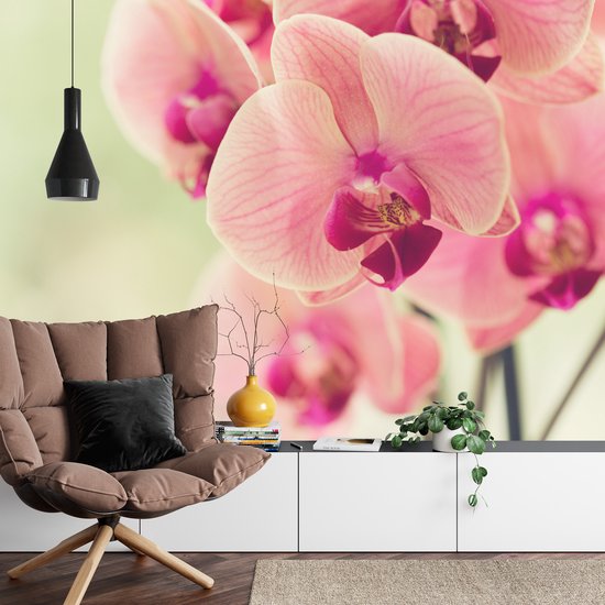 Fotobehang Mooie Orchidee | bol