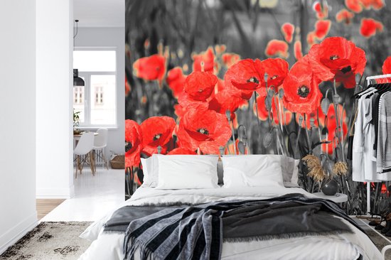 Fotobehang Klaprozen Bloemen | bol