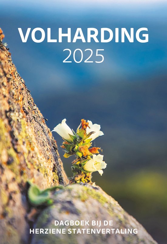 Volharding 2025 | 9789085203551 | Boeken | bol