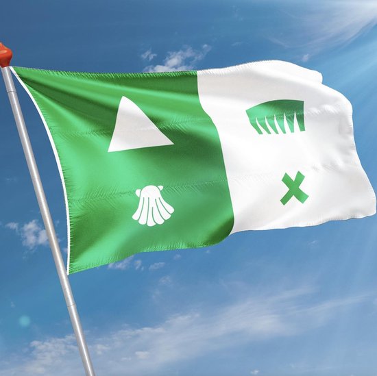 Vlag gemeente Alphen-Chaam - 70 x 100 cm - Polyester | bol.com