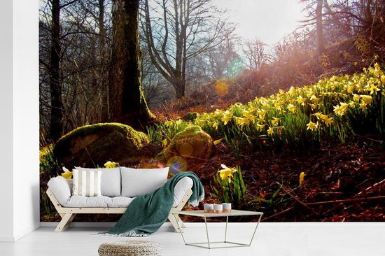 Behang - Fotobehang - Narcissen in heuvelachtig bos - Breedte 470 cm x ...