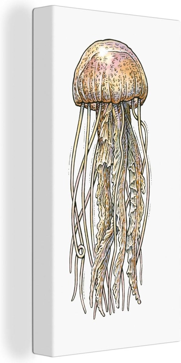 Canvas Schilderij Tekenen - Kwal - Oranje - 40x80 cm - Wanddecoratie ...