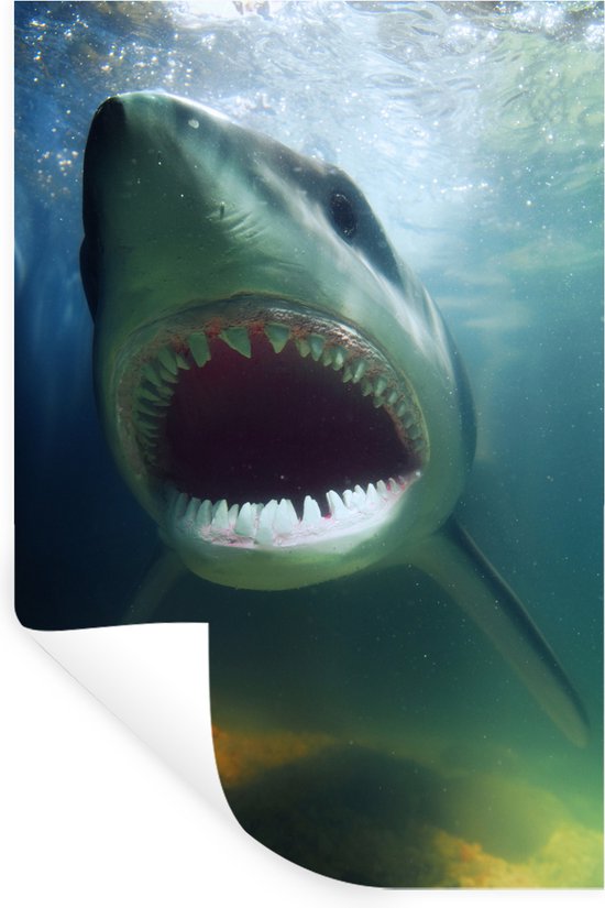 Muurstickers - Sticker Folie - Haai met open mond in vertroebeld water ...