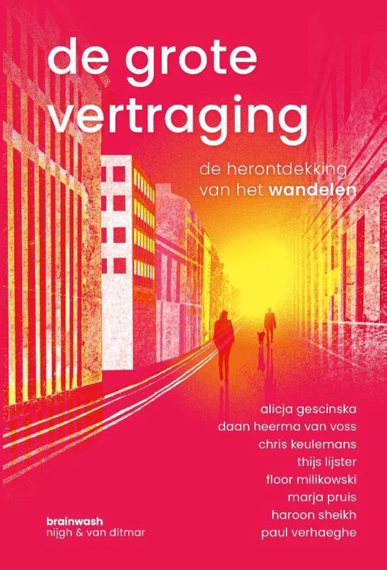 De grote vertraging, Diverse auteurs | 9789038810218 | Boeken | bol.com