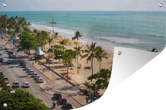 Muurdecoratie Tropische palmbomen op het strand van Recife Brazilië ...