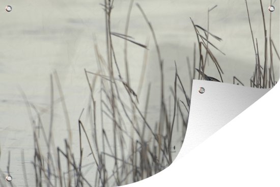 Muurdecoratie Een roerdomp staande op de rand van een bevroren meer ...