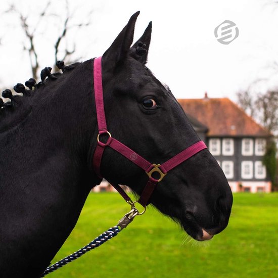 Equivera Hobby Horse Halster - Touwhalster - Hobbyhorsing - Halstertouw ...