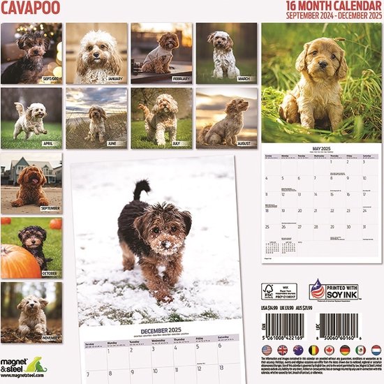 Cavapoo Kalender 2025 | bol