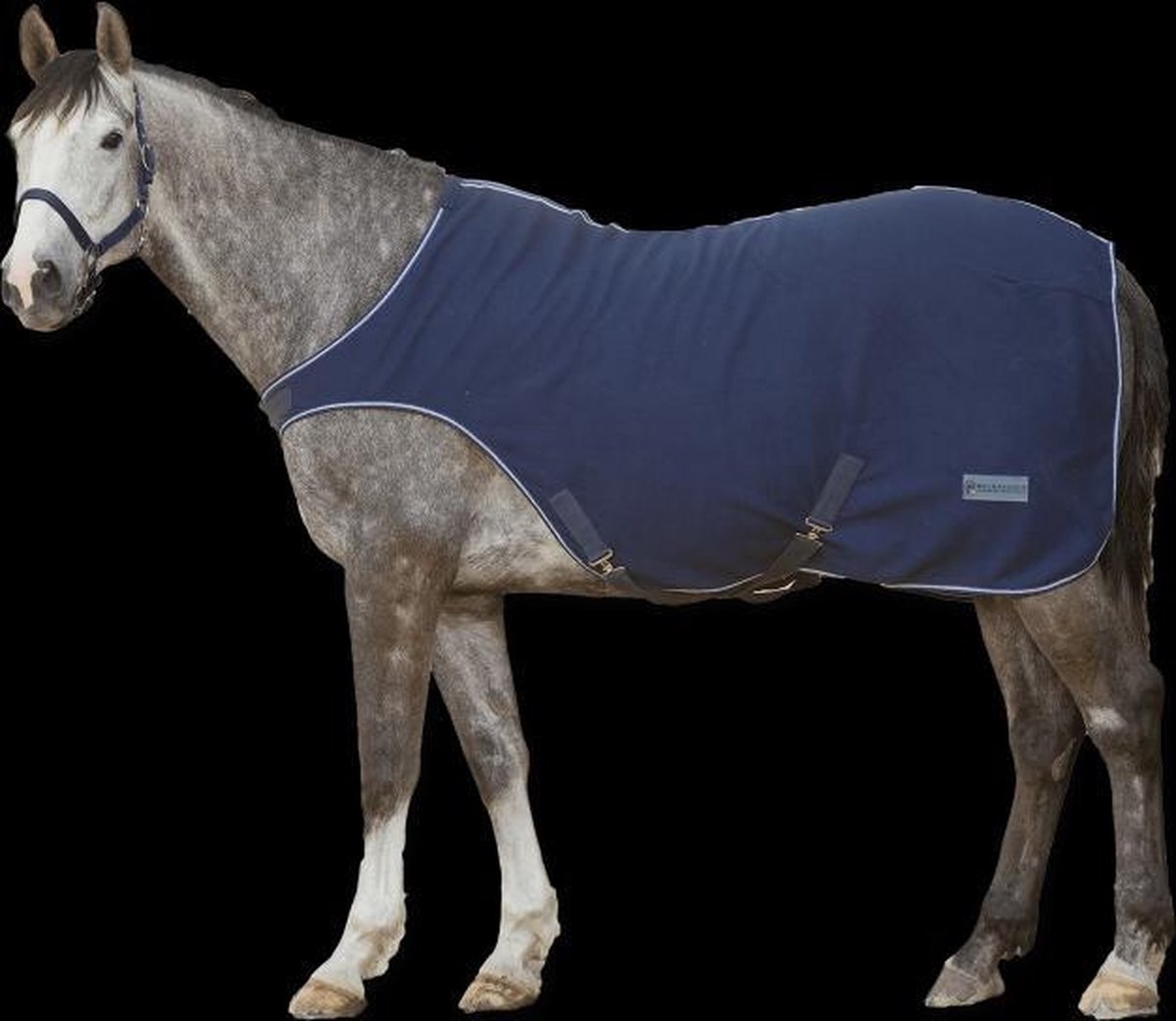 ECONOMIC Fleece Horse Walker Rug | bol.com