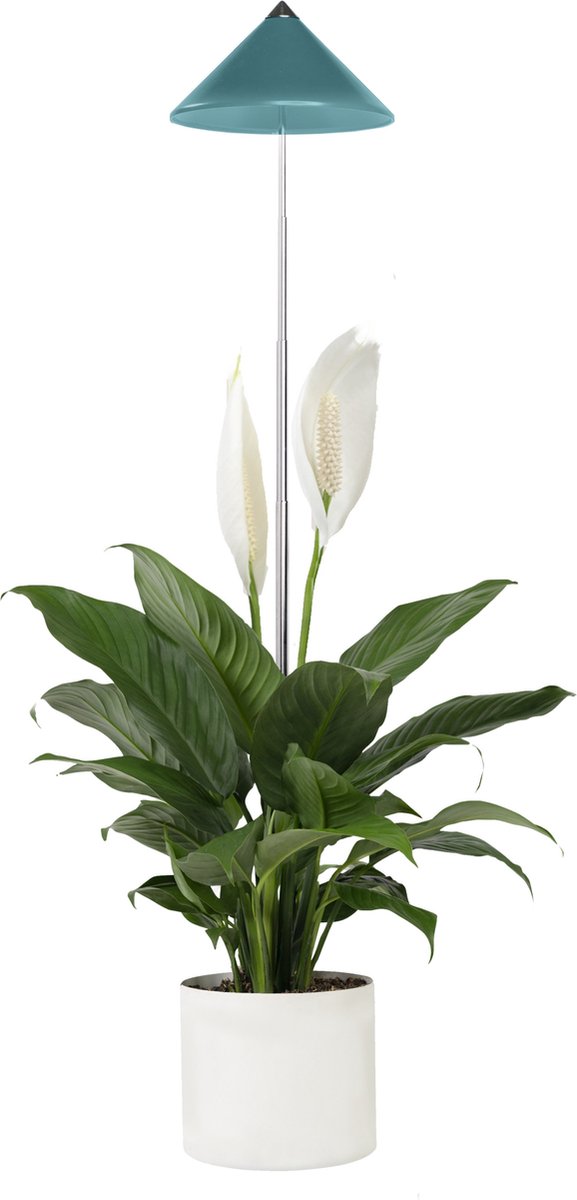 Parus by Venso SUNLiTE Kweeklamp 7W petrol blauw groen, LED groeilamp ...