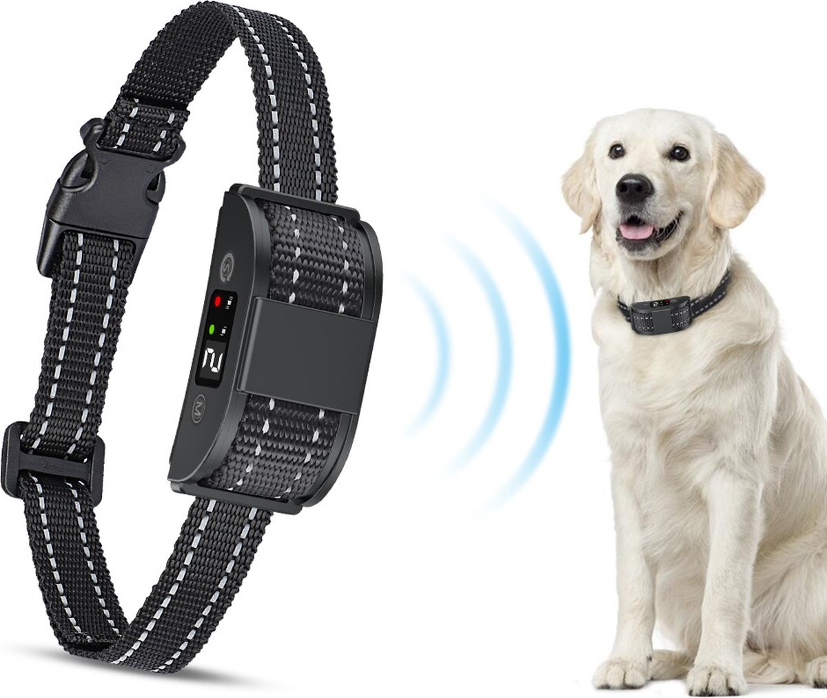 Costor - Anti Blafband Pro - Opvoedingshalsband Zonder Schok en ...