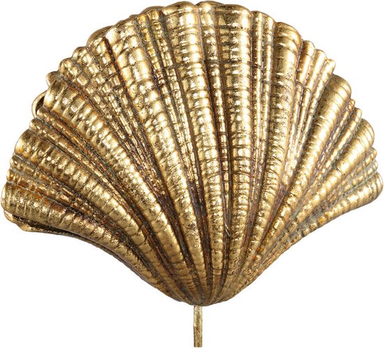 Ptmd Myro gouden schelp op zwart voet - schelp op standaard - hoogte 40 ...
