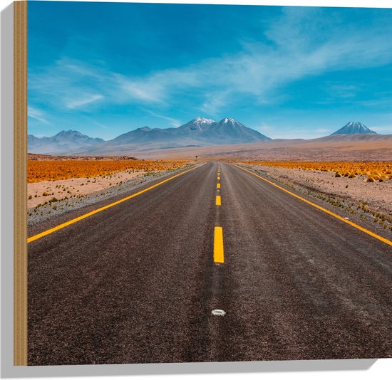 WallClassics - Hout - Lange Rechte Weg door de Open Vlakte - 50x50 cm ...