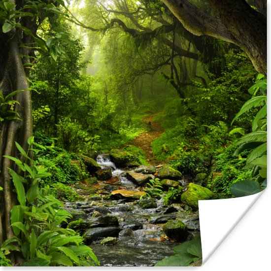 Poster Natuur - Water - Jungle - Bos - Tropisch - 75x75 cm | bol