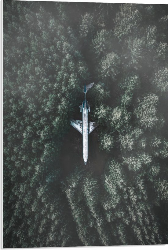 WallClassics - PVC Schuimplaat- Neergestort Vliegtuig in Bos - 50x75 cm ...
