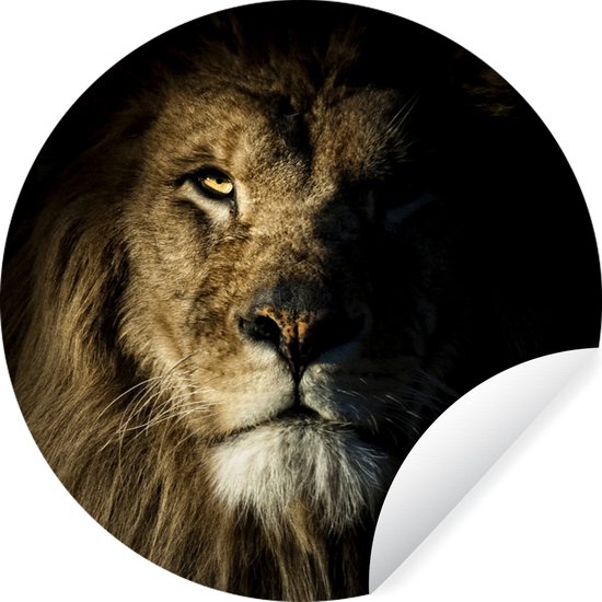 WallCircle - Muurstickers - Behangcirkel - Leeuw - Dier - Zwart - 80x80 cm -... | bol.com