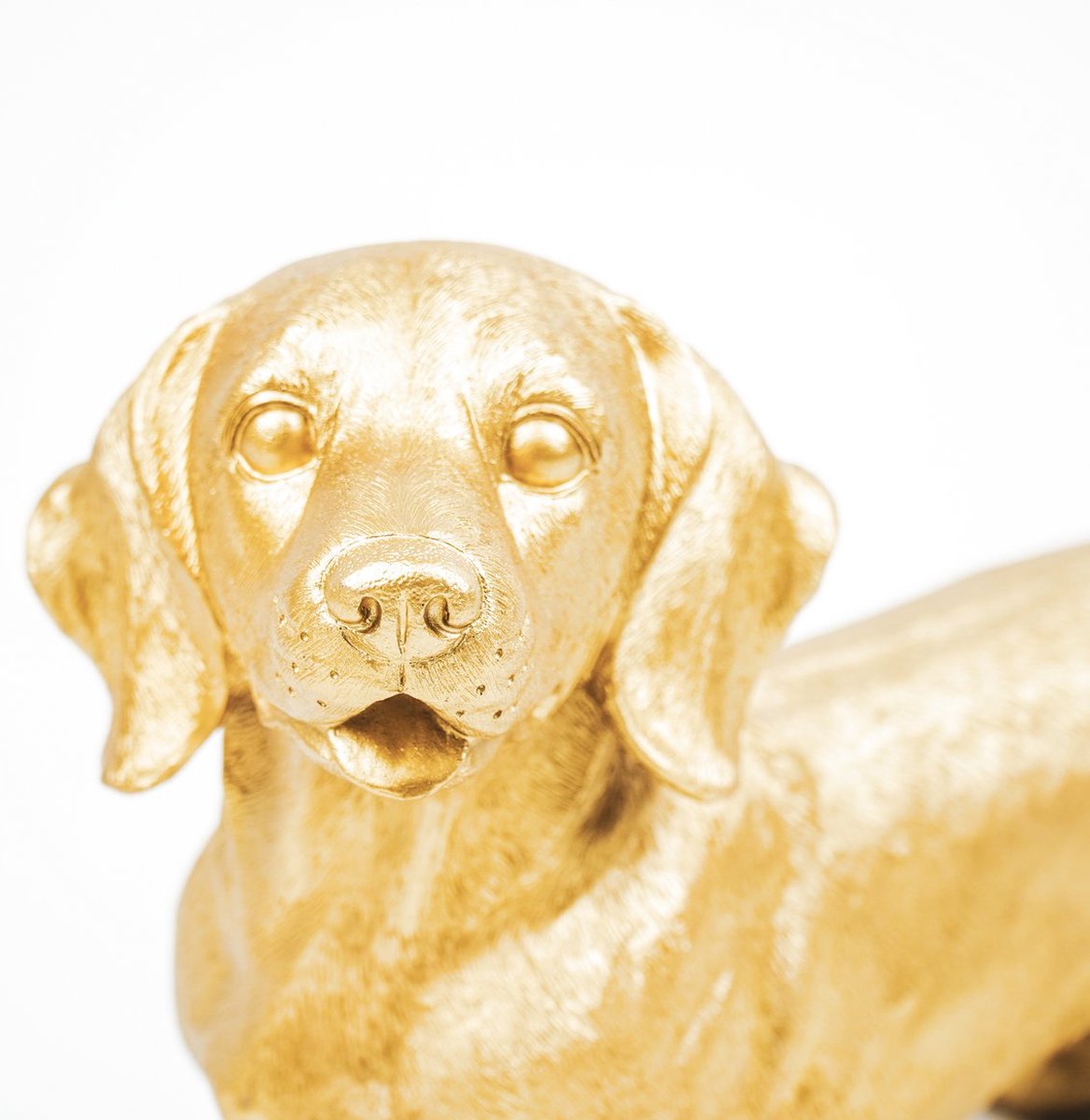 Tackle Hond Goud - 35x23x19cm | bol.com