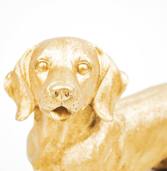 Tackle Hond Goud - 35x23x19cm | bol.com