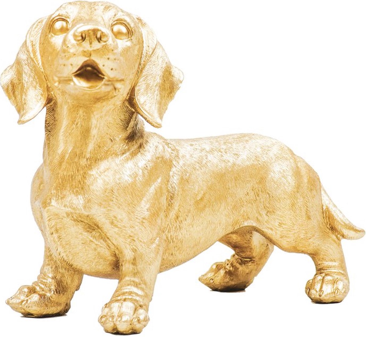 Tackle Hond Goud - 35x23x19cm | bol.com