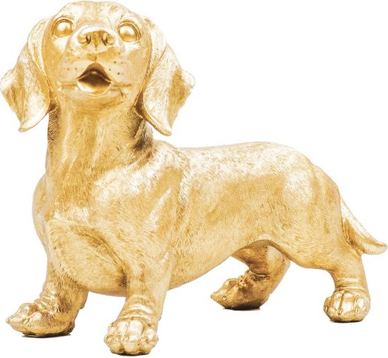 Tackle Hond Goud - 35x23x19cm | bol.com