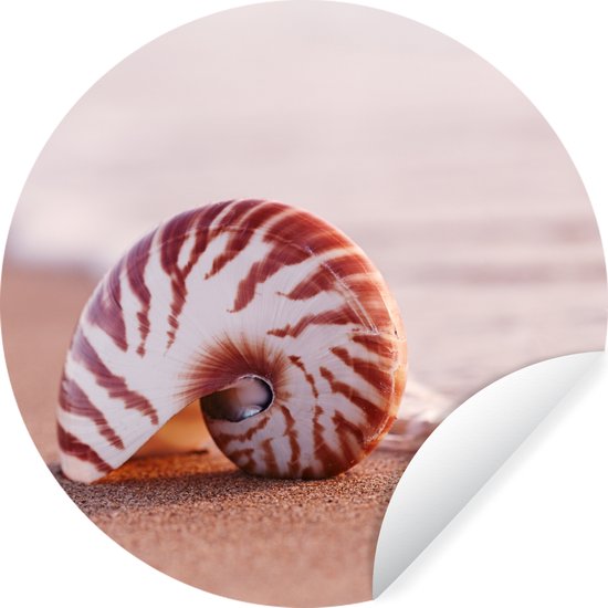 Behangcirkel - Rond behang - Zee - Strand - Schelp - Wanddecoratie ...