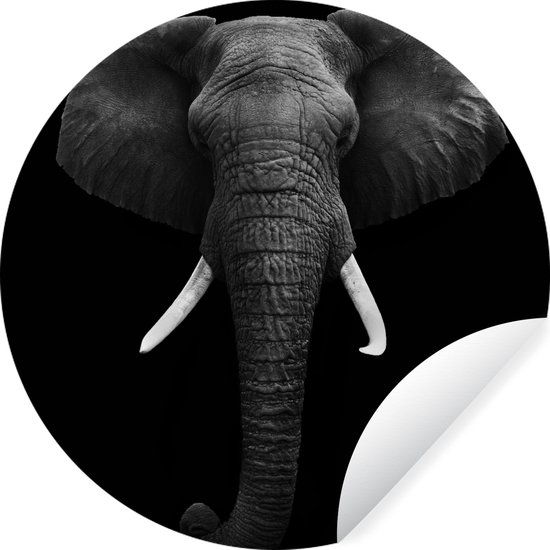 WallCircle - Behangcirkel - Dieren - Olifant - Zwart - Wit - Zelfklevend behang -... | bol
