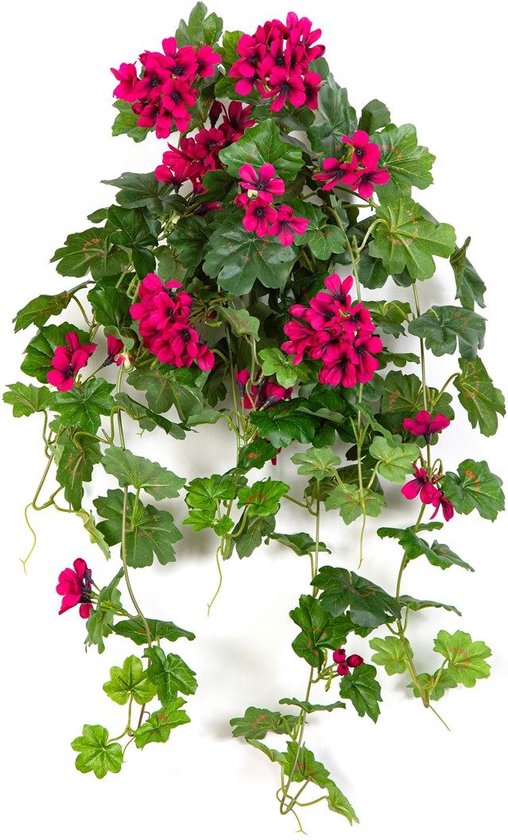 Everplant Kunst Hangplant Geranium Violet 72 cm - Kunstplanten ...