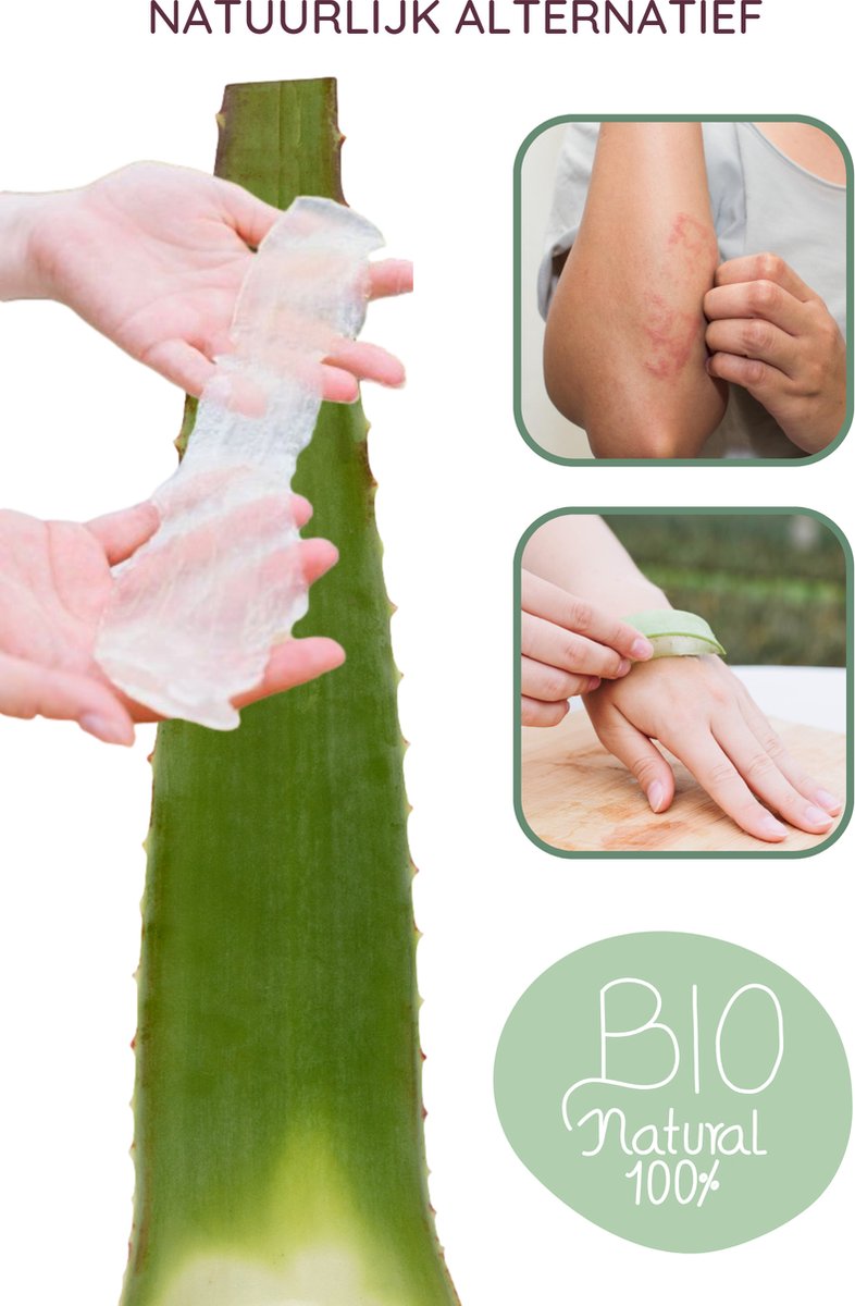 Dr. Green® Aloë vera - Natuurlijk alternatief - GEBRUIK BIJ - Eczeem ...