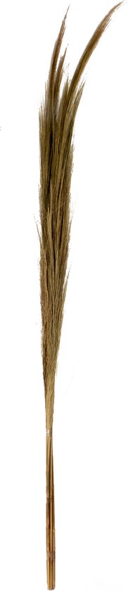 Small Hay Bundle Natural | Sierpluim | Pole to Pole | 3 x 3 x 120cm | bol