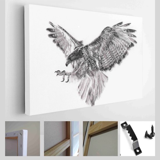 Houtskool schilderij van havik op papier - Modern Art Canvas ...
