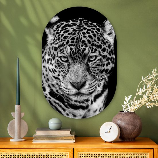 Wall Oval - Décoration murale Plastique - Tableau Ovale - Léopard ...