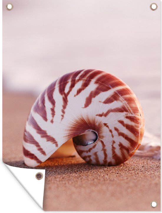 Tuin decoratie Schelp - Strand - Zee - Zand - 30x40 cm - Tuindoek ...