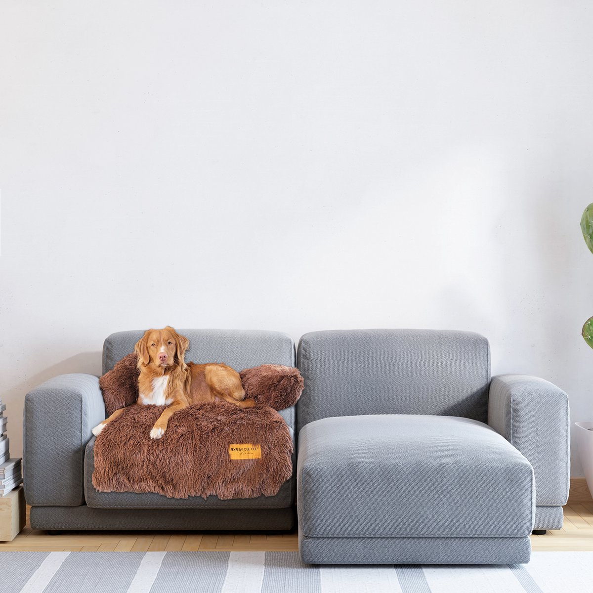 By Cee Cee - Origineel Hondendeken Bank – Hondenkleed Bank - Hondenmand ...