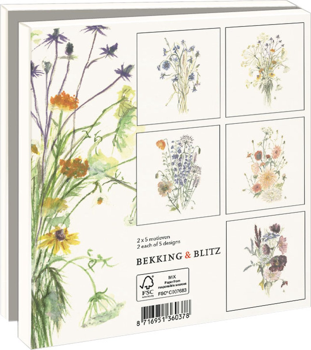 Bekking & Blitz - Wenskaartenmapje - Set wenskaarten - Kunstkaarten - Museumkaarten -... | bol.com