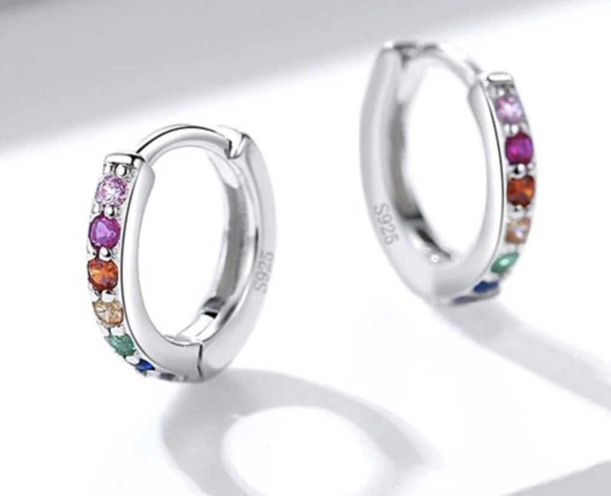 Oorbellen dames | oorringen dames | Zirkonia multikleur | regenboog ...