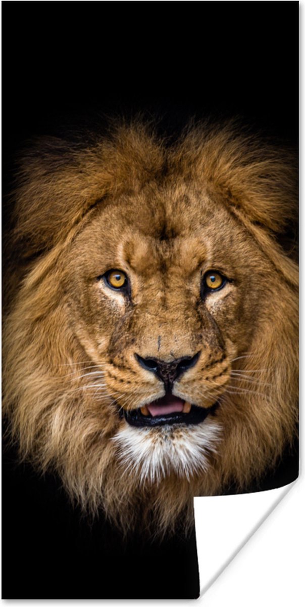 Poster Leeuw - Portret - Zwart - Dieren - 60x120 cm | bol.com