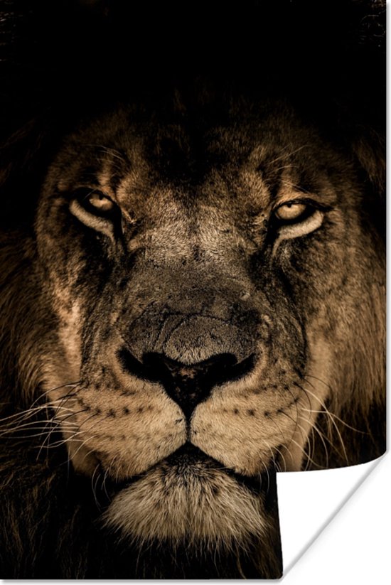 Poster Leeuw - Dieren - Leeuw - Zwart - Portret - 120x180 cm | bol Poster Leeuw - Dieren - Leeuw - Zwart - Portret - 120x180 cm | bol