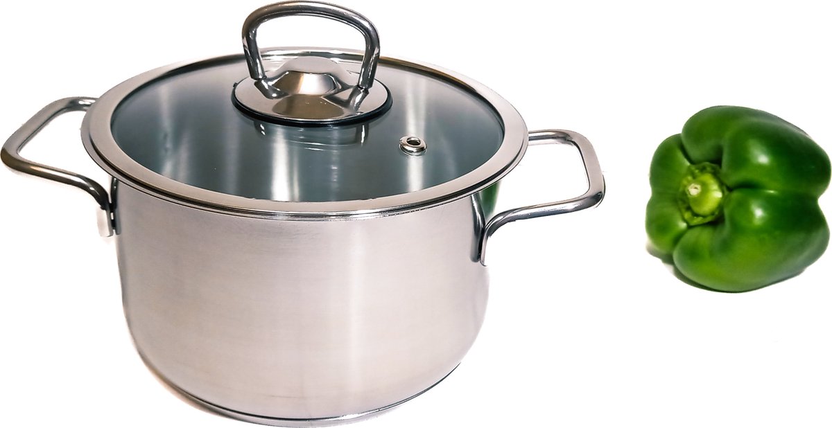 Roestvrijstalen pan 2,0 liter - met glazen deksel | bol.com