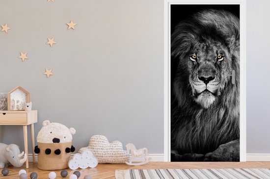Deursticker Leeuw - Ogen - Oranje - Zwart wit - Dieren - Portret - 85x205 cm - Deurposter | bol.com
