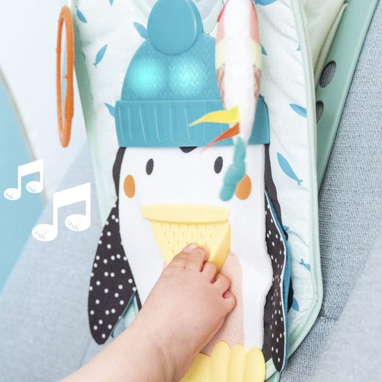 Taf Toys - Activiteitencentrum baby voor in de wagen - Penguin Play ...