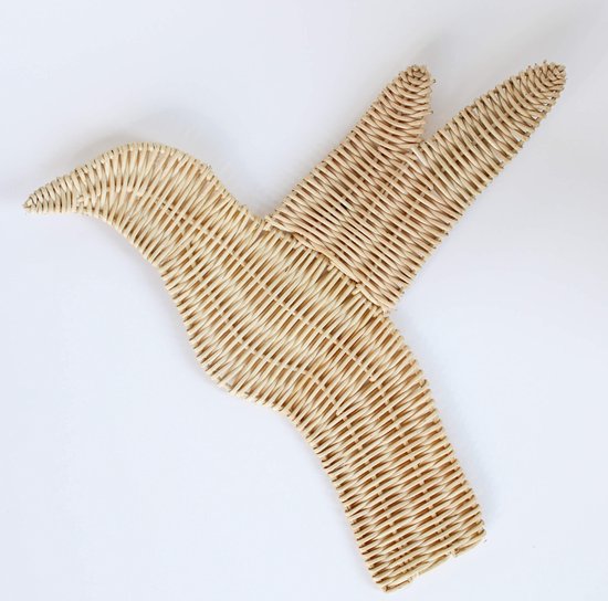 Rotan vogel | bol